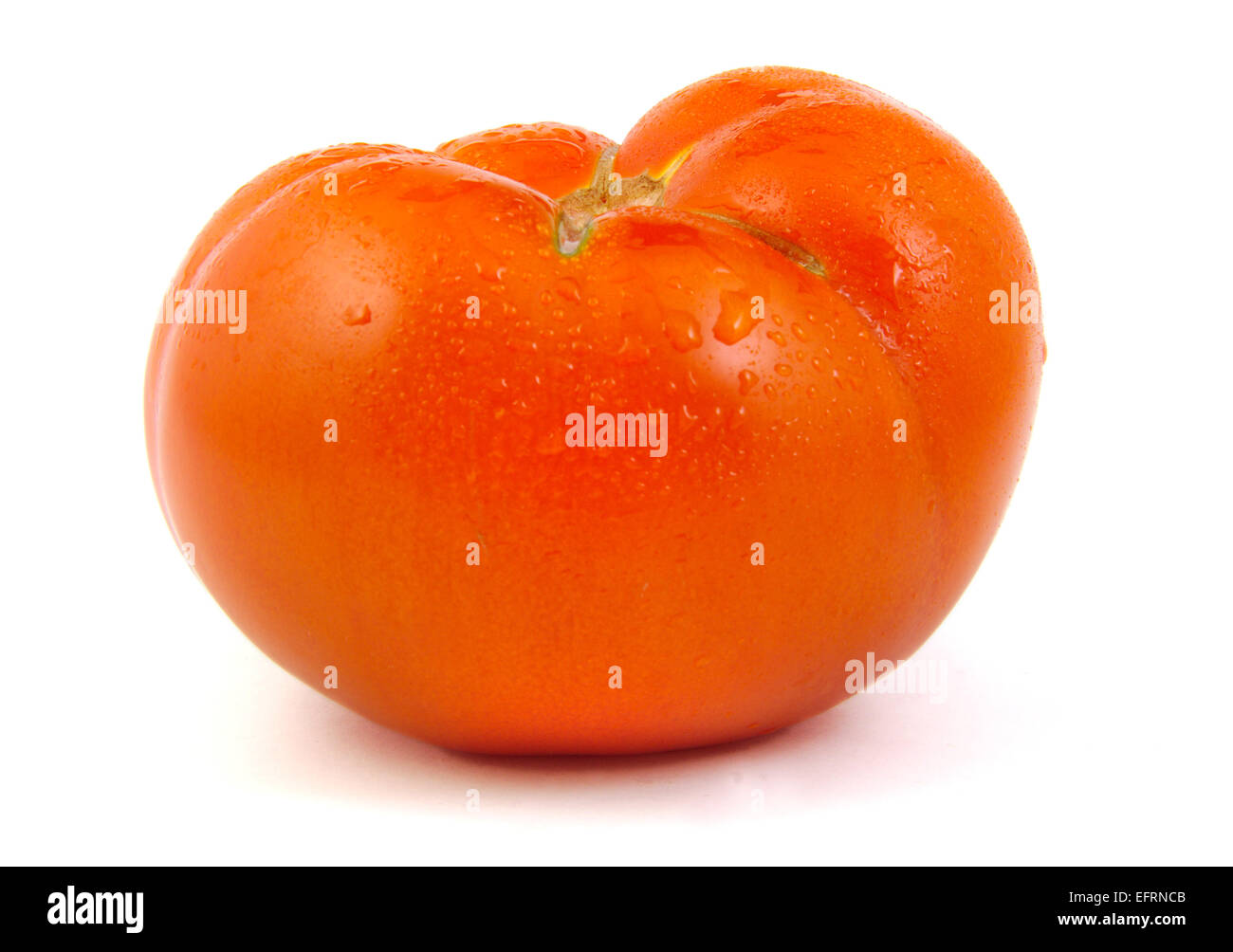 Closeup of single tomato on white background Stock Photo - Alamy