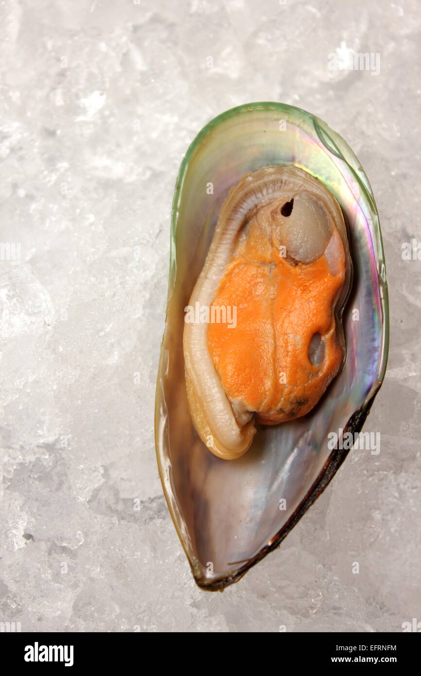 Close up of fresh boiled mussels isolated on white background Stock ...
