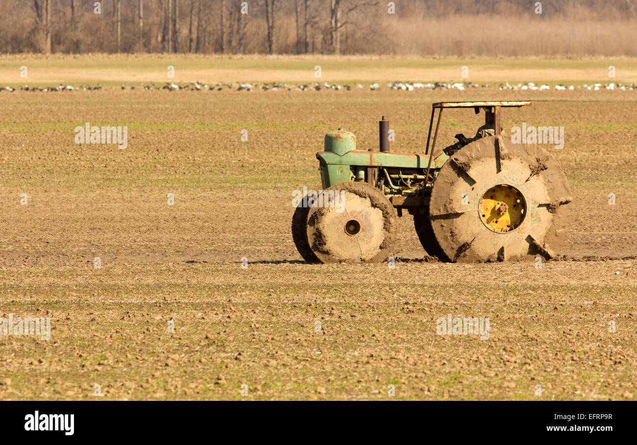 old vintage tractor Stock Photo - Alamy