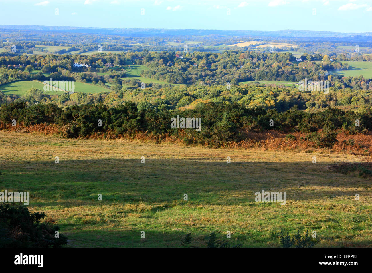 Ashdown forest hi-res stock photography and images - Alamy