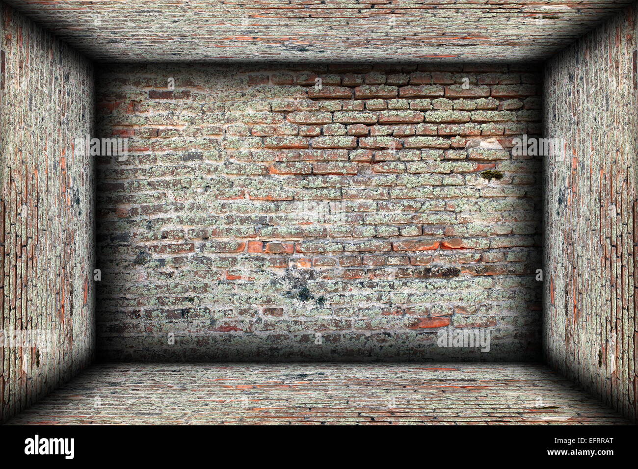 Brick Wall Background Photoshop