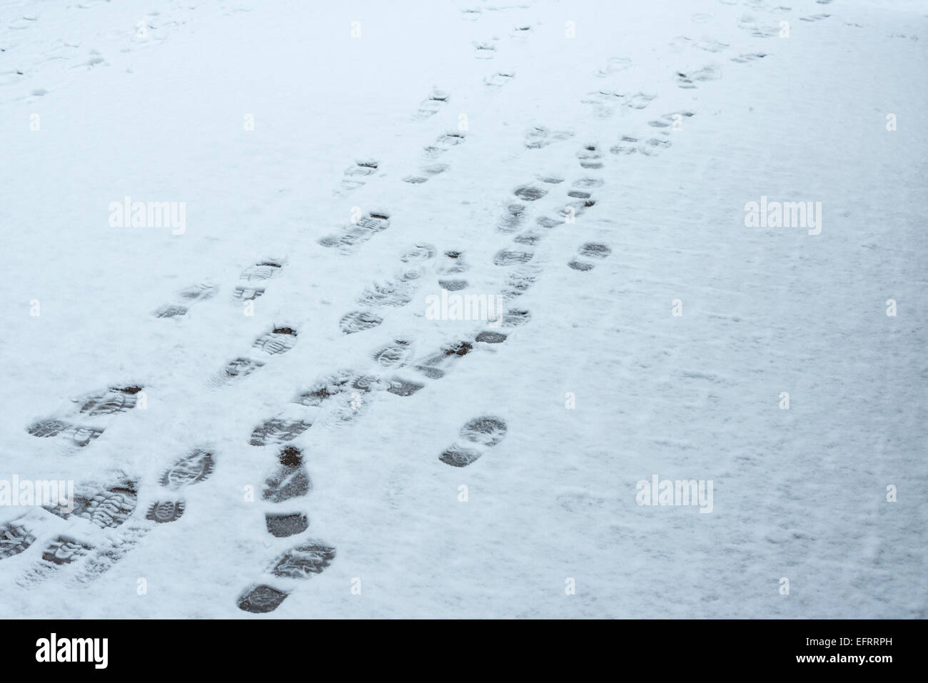 A diagonal line of footprints in a light fall of snow Stock Photo - Alamy