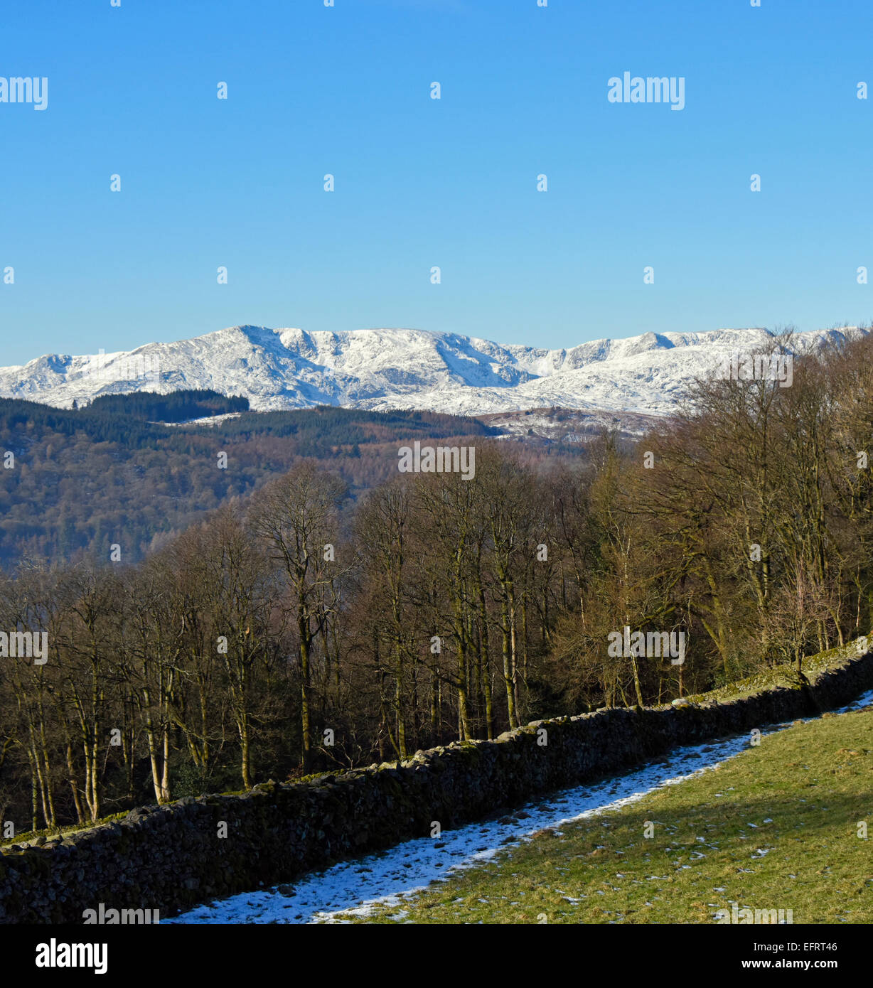 The Coniston Fells from Orrest Head. Lake District National Park ...
