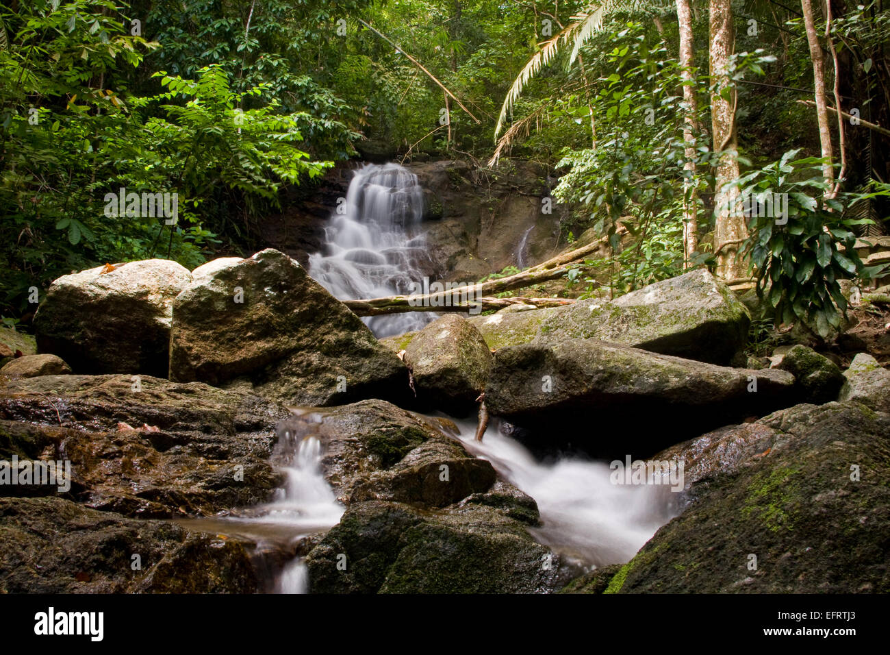 Kathu Waterfall , Phuket,Thailand Stock Photo - Alamy