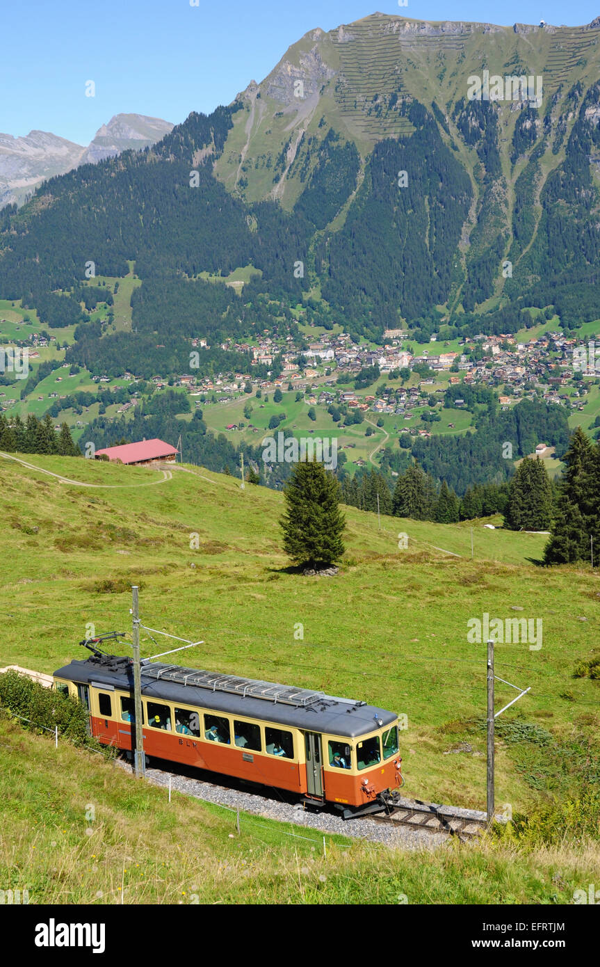 Train on the Grutschalp to Murren railway with the village of Wengen ...