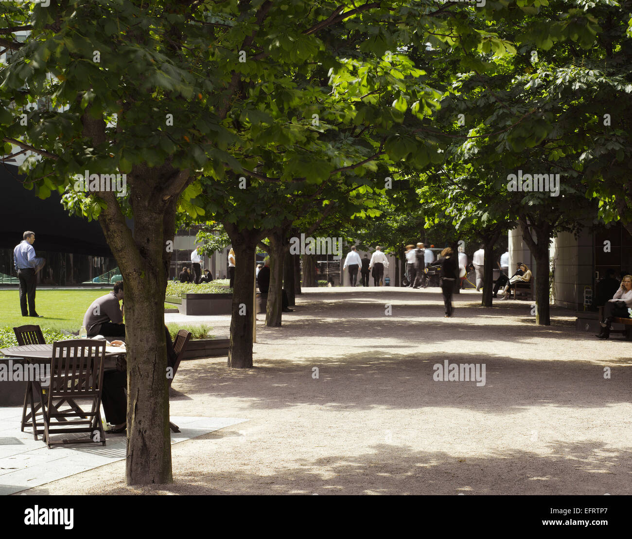 Public Square Canary Wharf, London, UK. Architect: Olin Partnership ...
