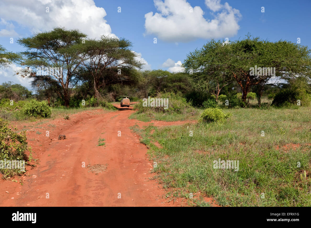 Savanna bush landscape hi-res stock photography and images - Alamy