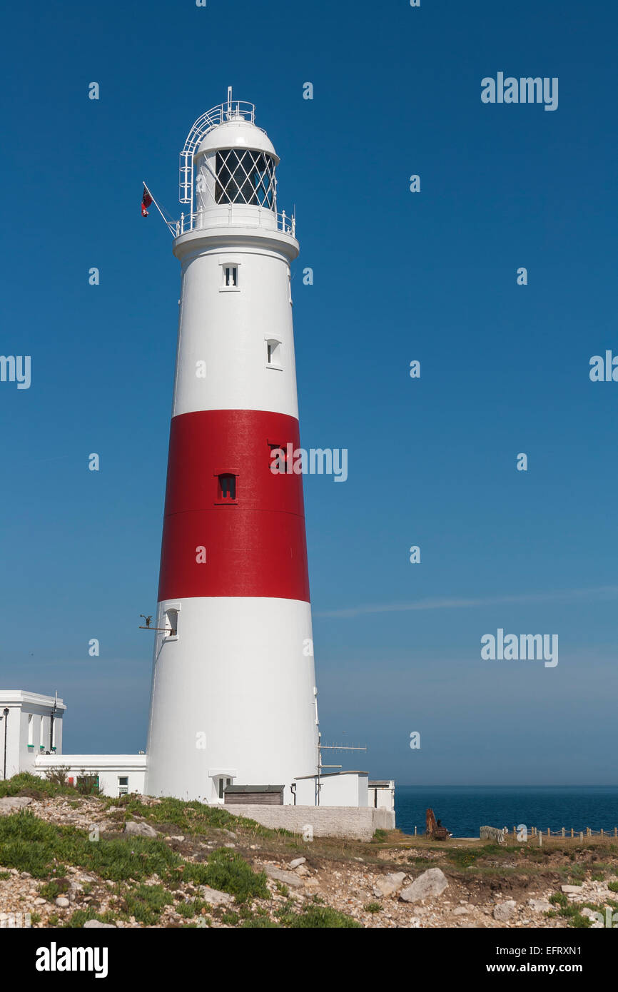 Photograph of Portland Bill Lighthouse Stock Photo - Alamy