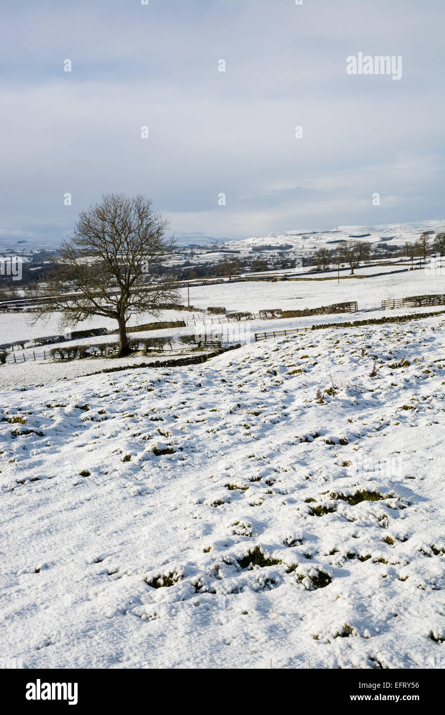 Snow in the Yorkshire Dales Stock Photo - Alamy