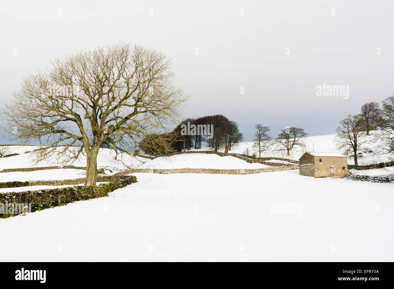 Snow in the Yorkshire Dales Stock Photo - Alamy