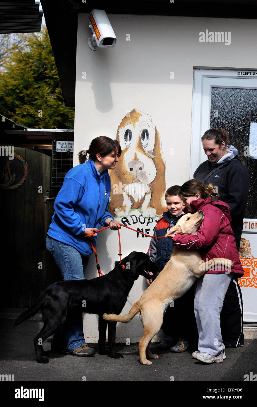Kids class room pets hi-res stock photography and images - Alamy