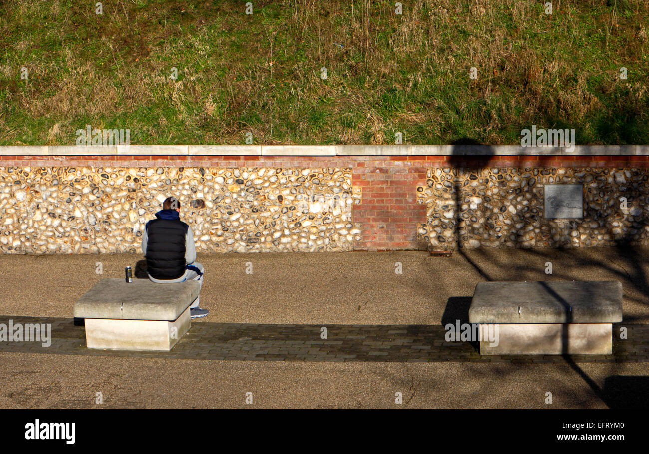 A lone young man taking a lunch break in public gardens Stock Photo - Alamy