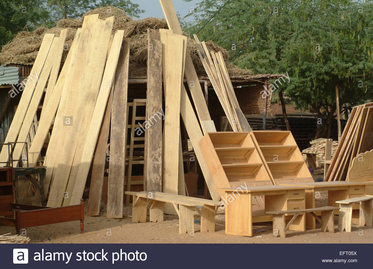People Cut Down Trees Sell High Resolution Stock Photography and Images ...