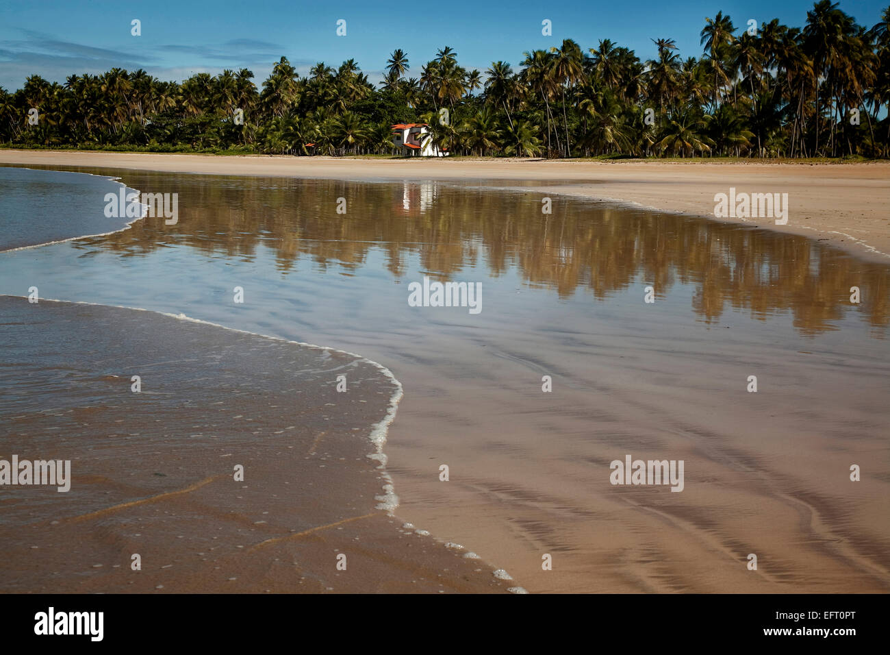 Moreré beach, Island of Boipeba. Bahia. Brazil Stock Photo - Alamy