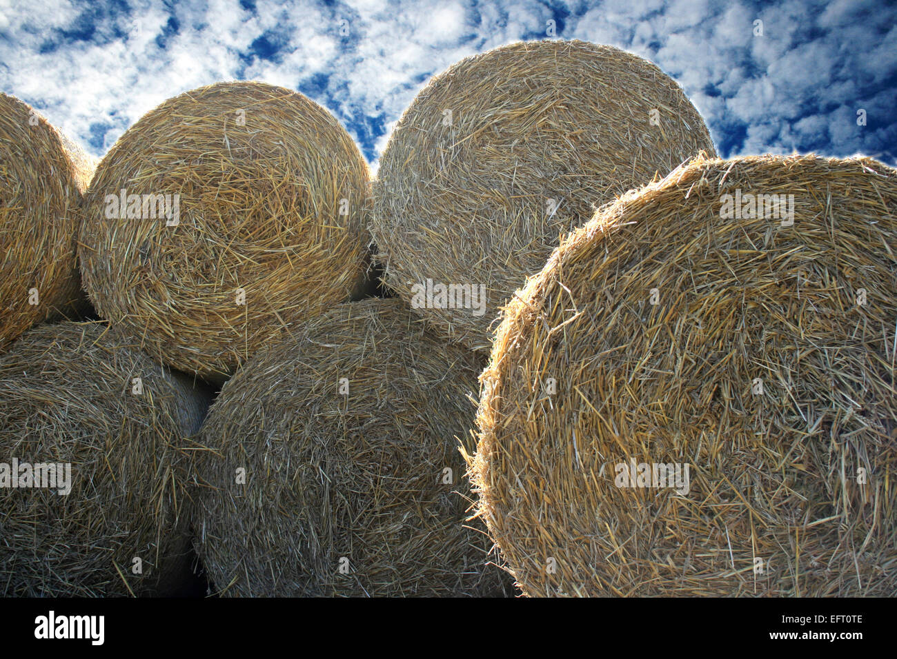 Hay bail hi-res stock photography and images - Alamy