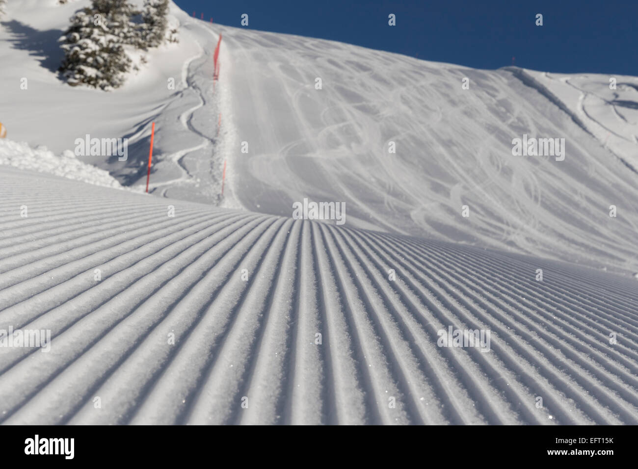 Skiing background - fresh snow on ski slope in the dolomites Stock ...