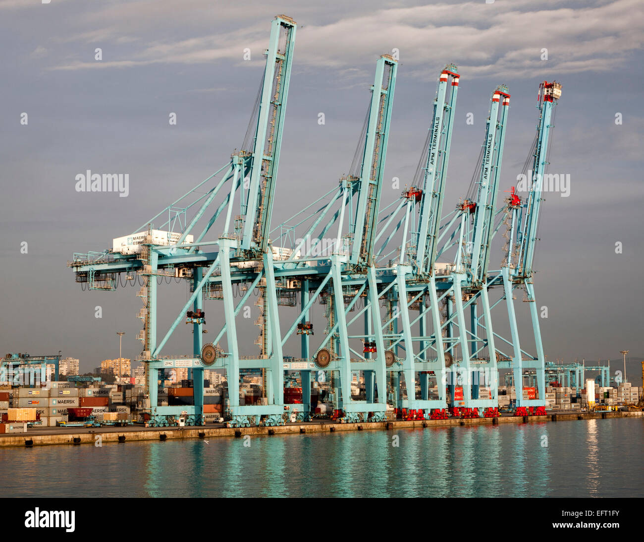 Large cranes apm terminals container ship port at algeciras hi-res ...