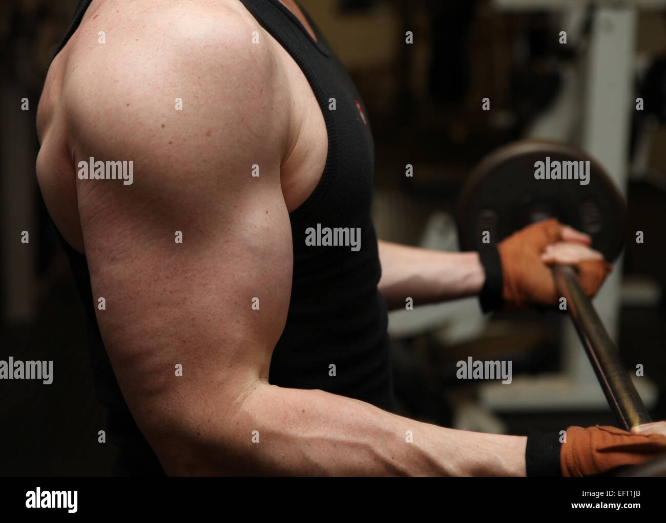 bodybuilding workout in gym. Male lifting free weights. training with ...