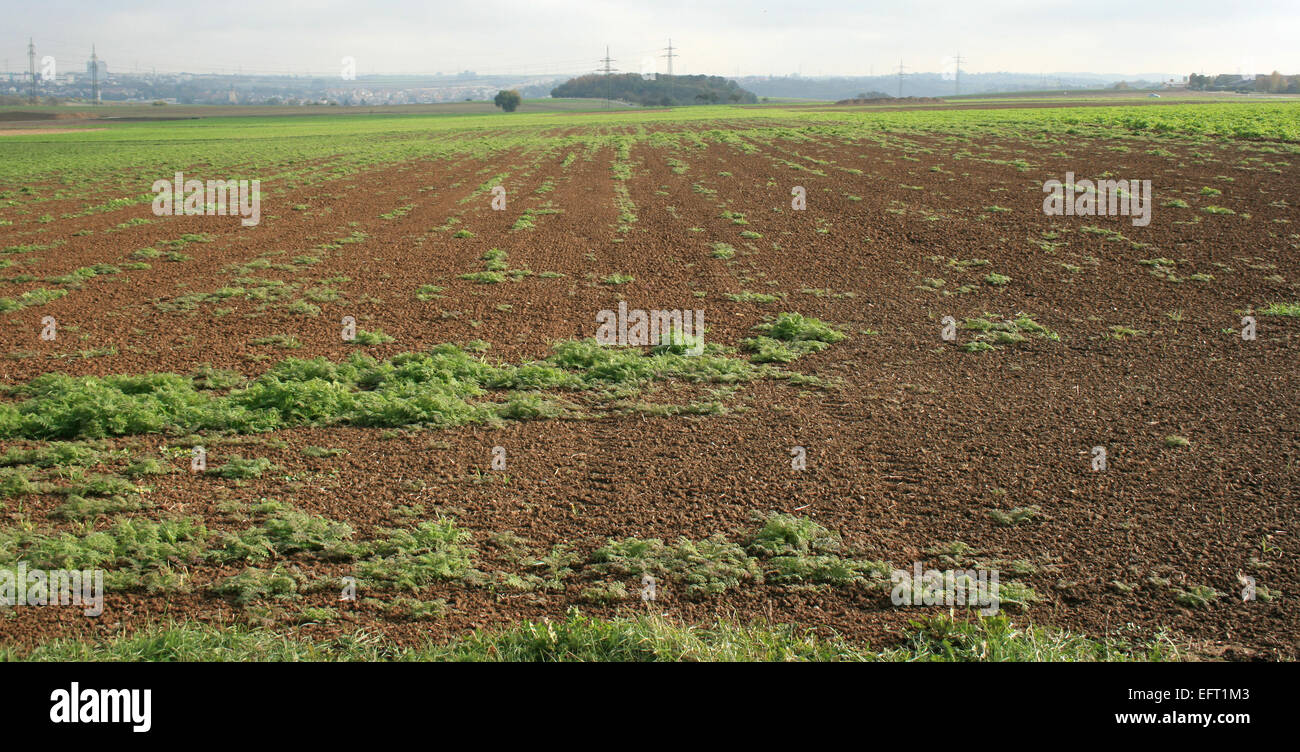 German farmland hi-res stock photography and images - Alamy