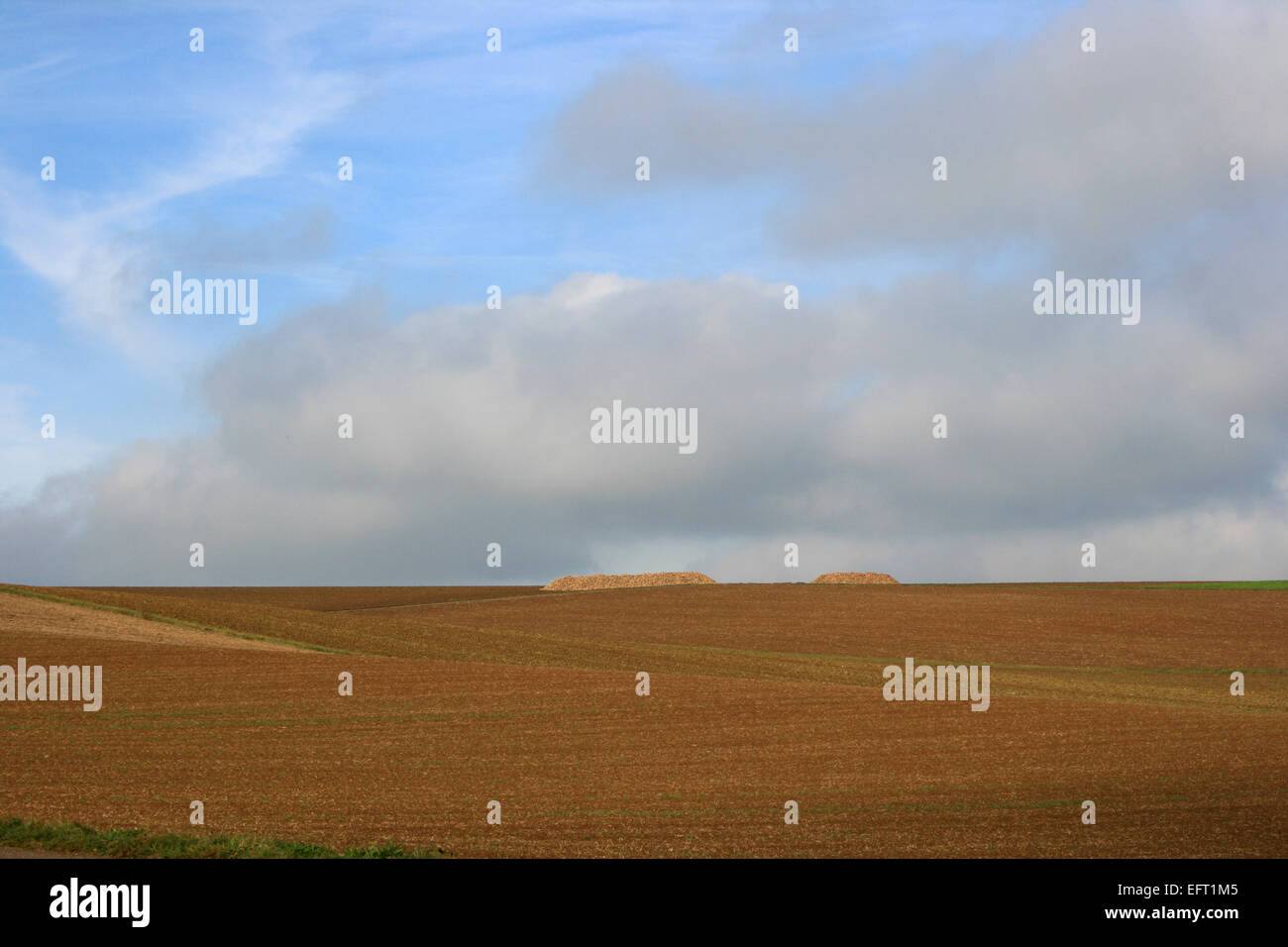 German farmland hi-res stock photography and images - Alamy