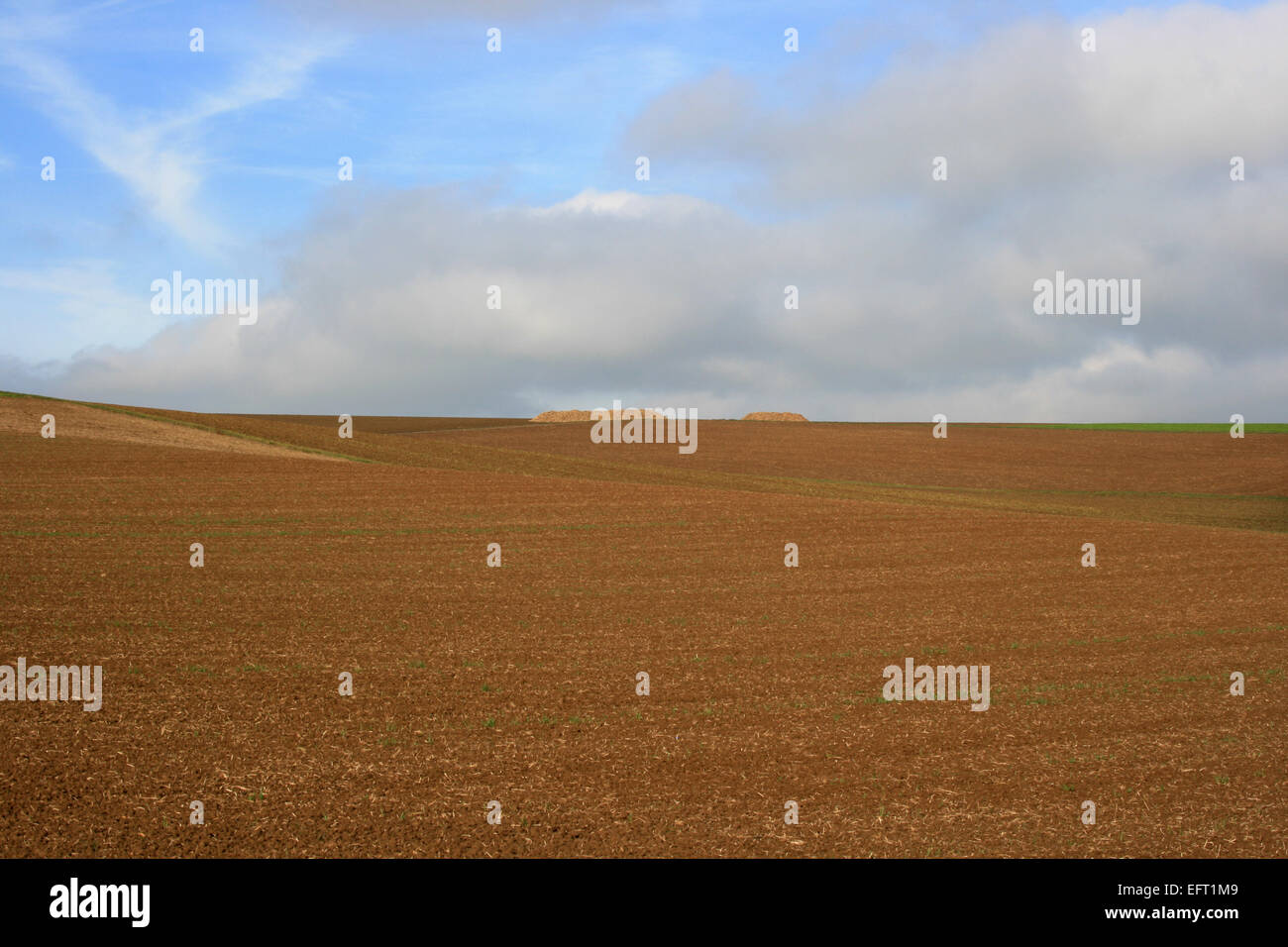 German farmland hi-res stock photography and images - Alamy