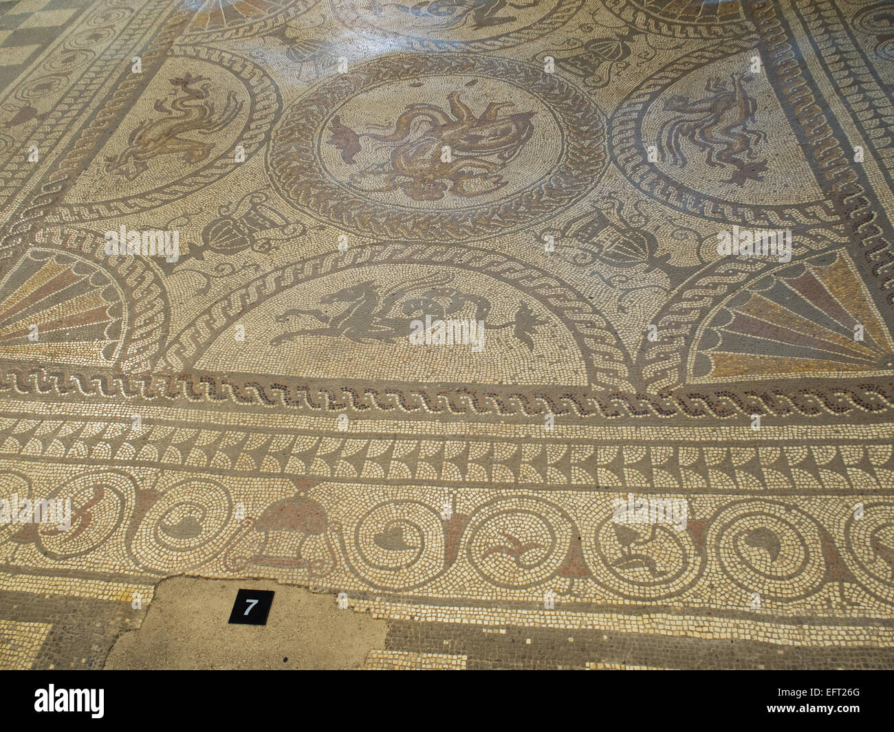 Cupid dolphin fishbourne roman palace hi-res stock photography and ...