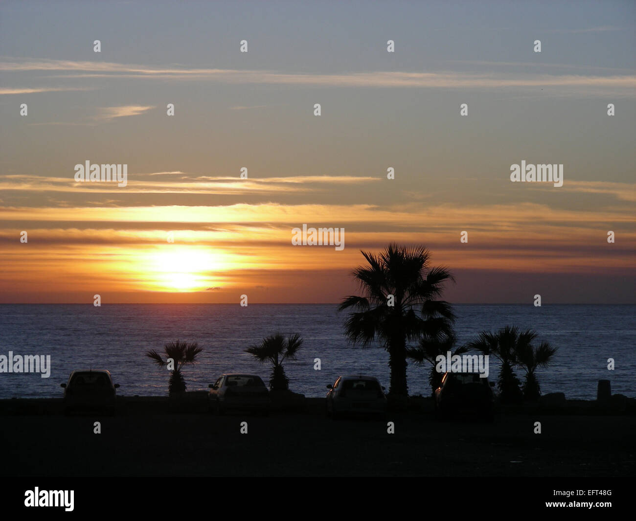 Palm tree is in cyprus hi-res stock photography and images - Alamy
