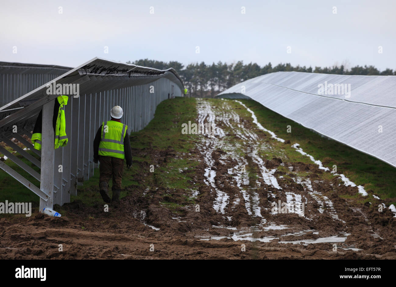Solar farm construction hi-res stock photography and images - Alamy