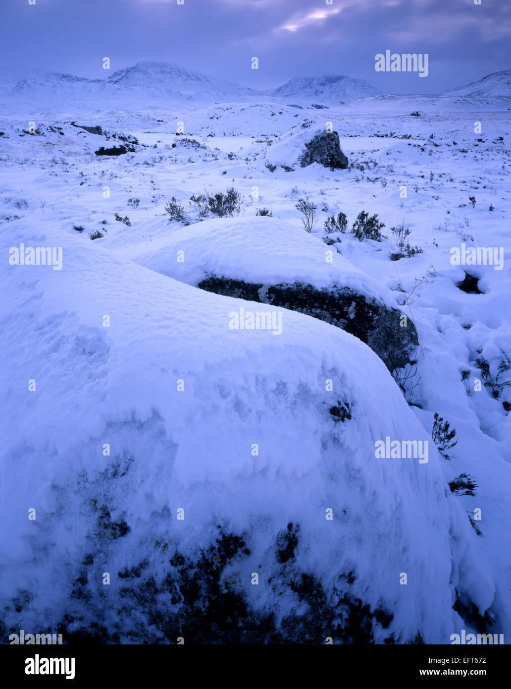 Rannoch wall hi-res stock photography and images - Alamy