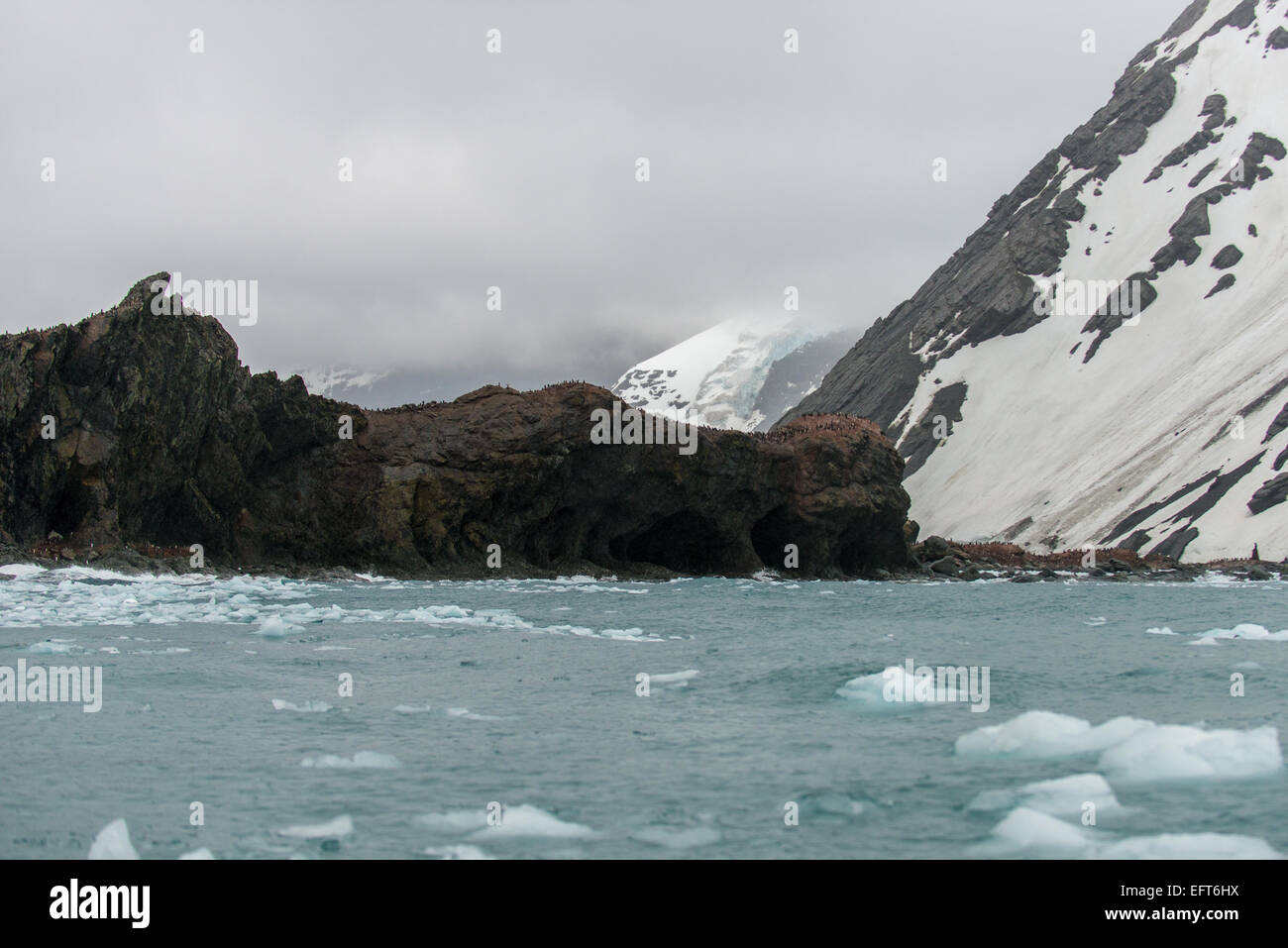 Point Wild on north coast of Elephant Island, in the South Shetland ...