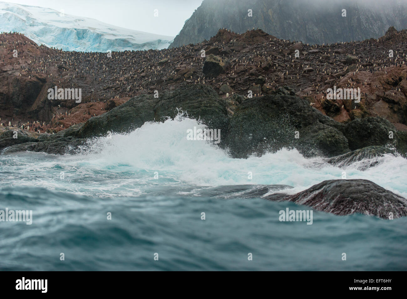 Point Wild on north coast of Elephant Island, in the South Shetland ...