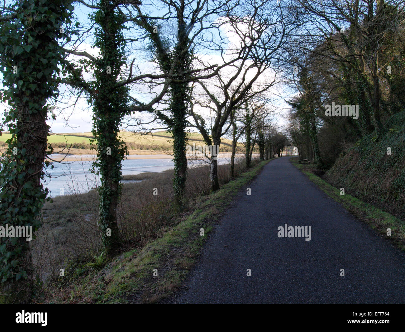 The Camel Trail Running alongside the Camel Estuary between Wadebridge ...