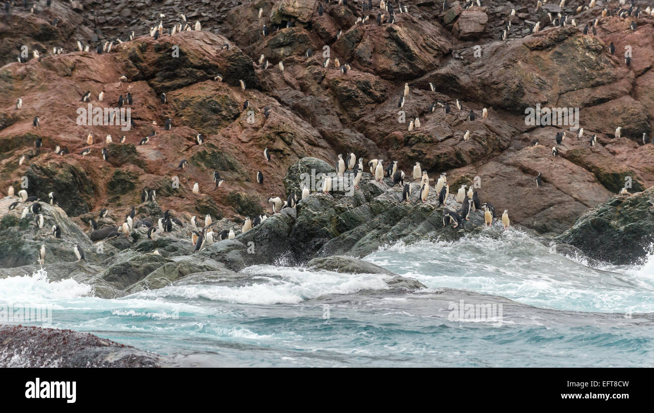 Point Wild on north coast of Elephant Island, in the South Shetland ...