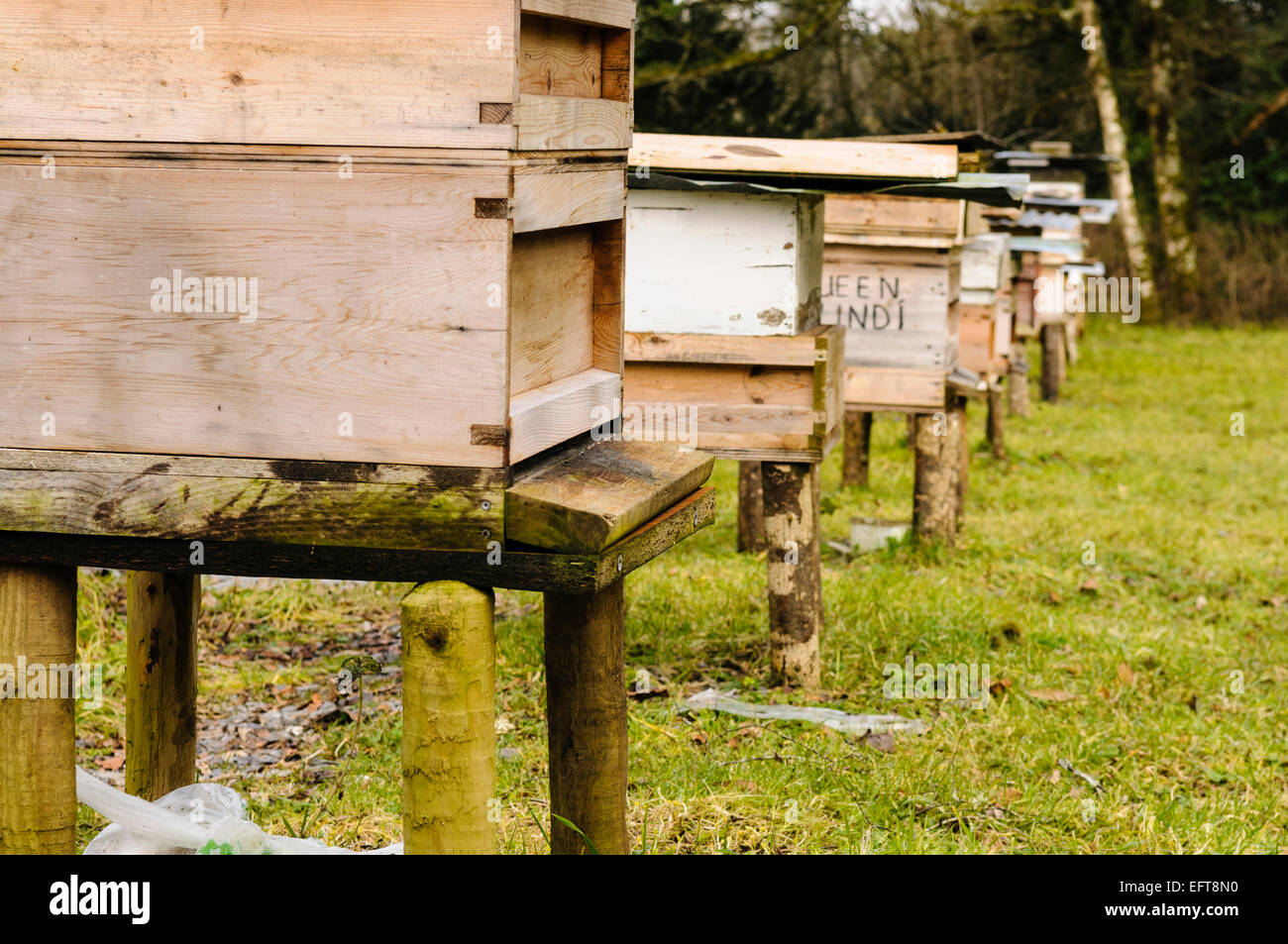 Beehives in a garden Stock Photo - Alamy