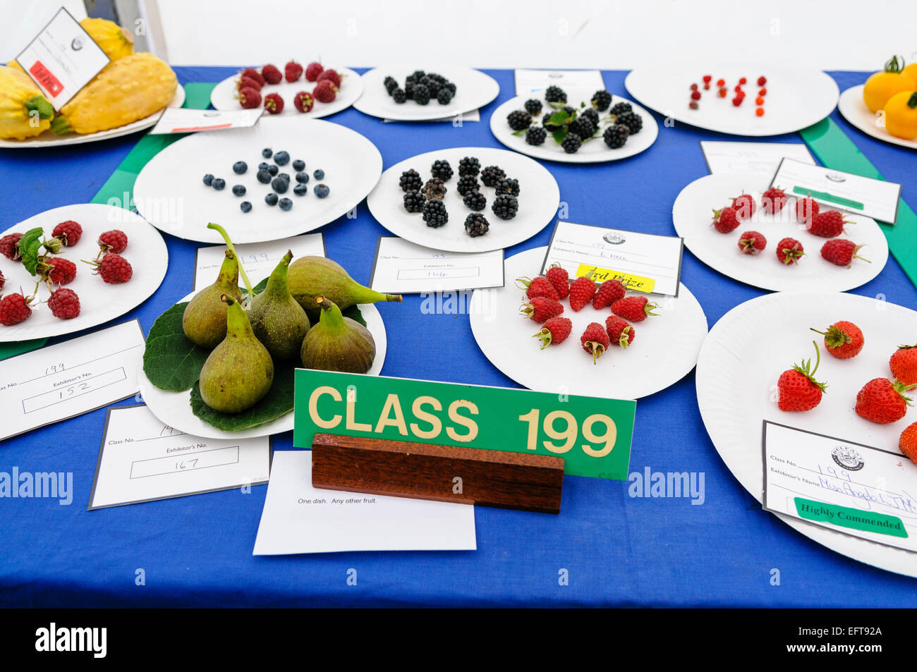 Plates of various soft fruit and berries on a table at a horticultural ...