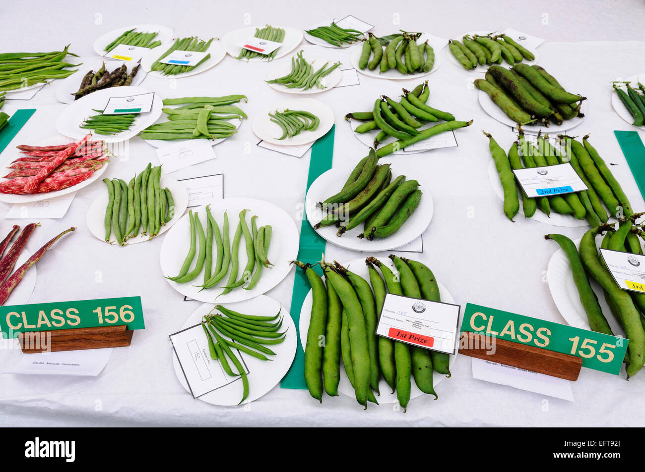 Vegetable Growing Competition High Resolution Stock Photography and ...