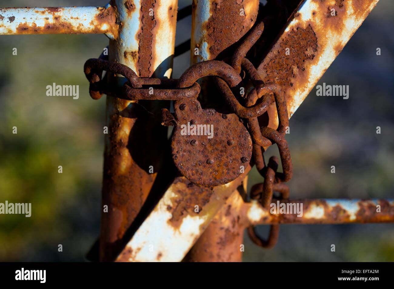 Old chain on a farm gate hi-res stock photography and images - Alamy