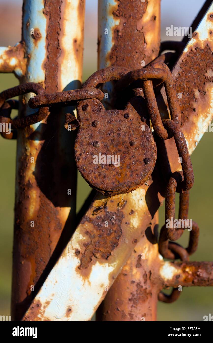 Rusty chain and padlock on a gate Stock Photo - Alamy