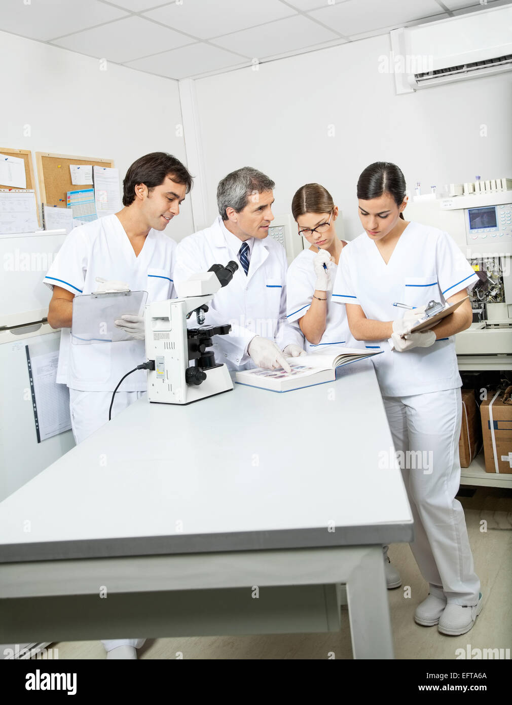 Scientists Working Together In Medical Lab Stock Photo - Alamy