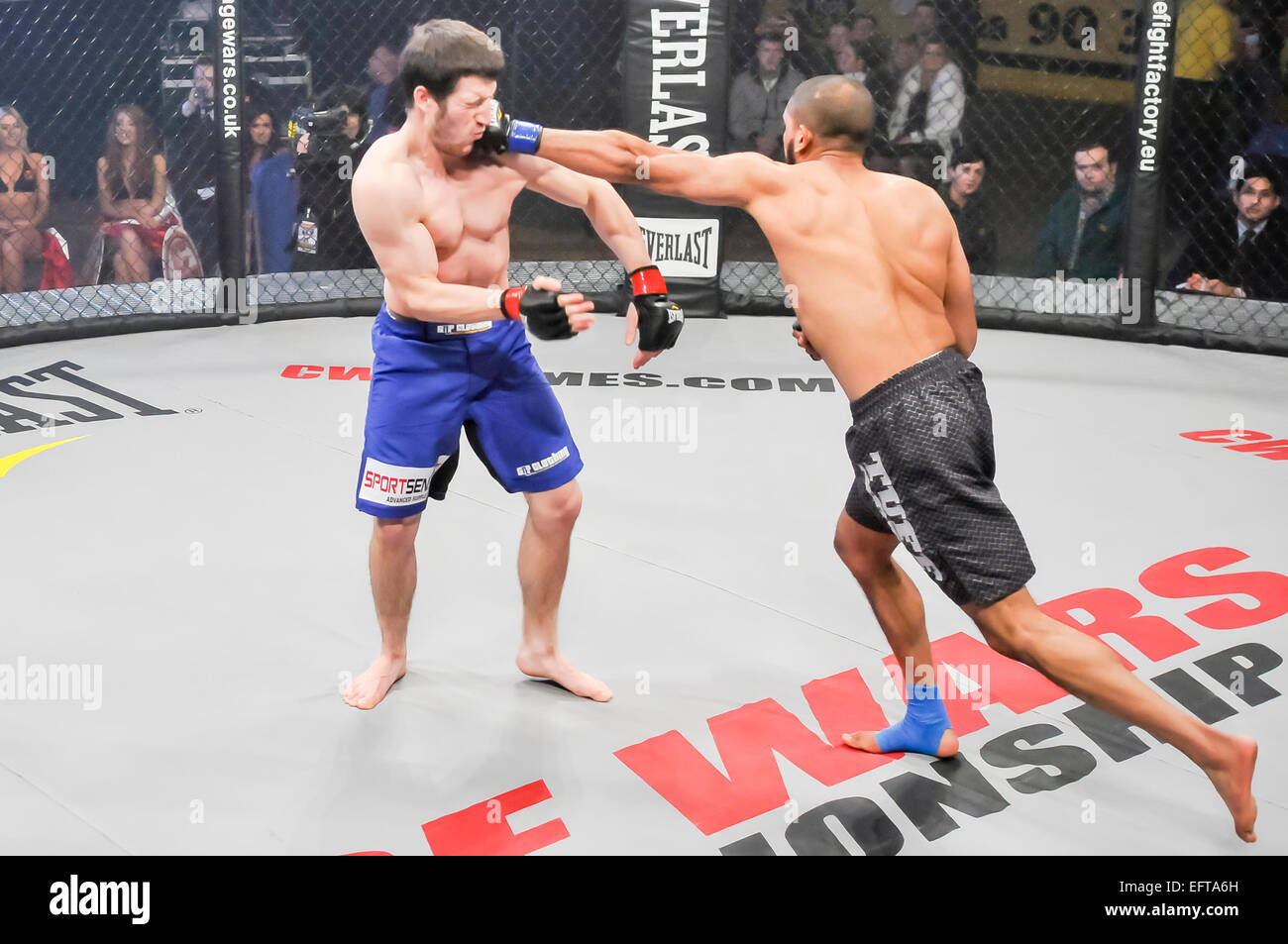 MMA cage fighter is punched in the face Stock Photo - Alamy