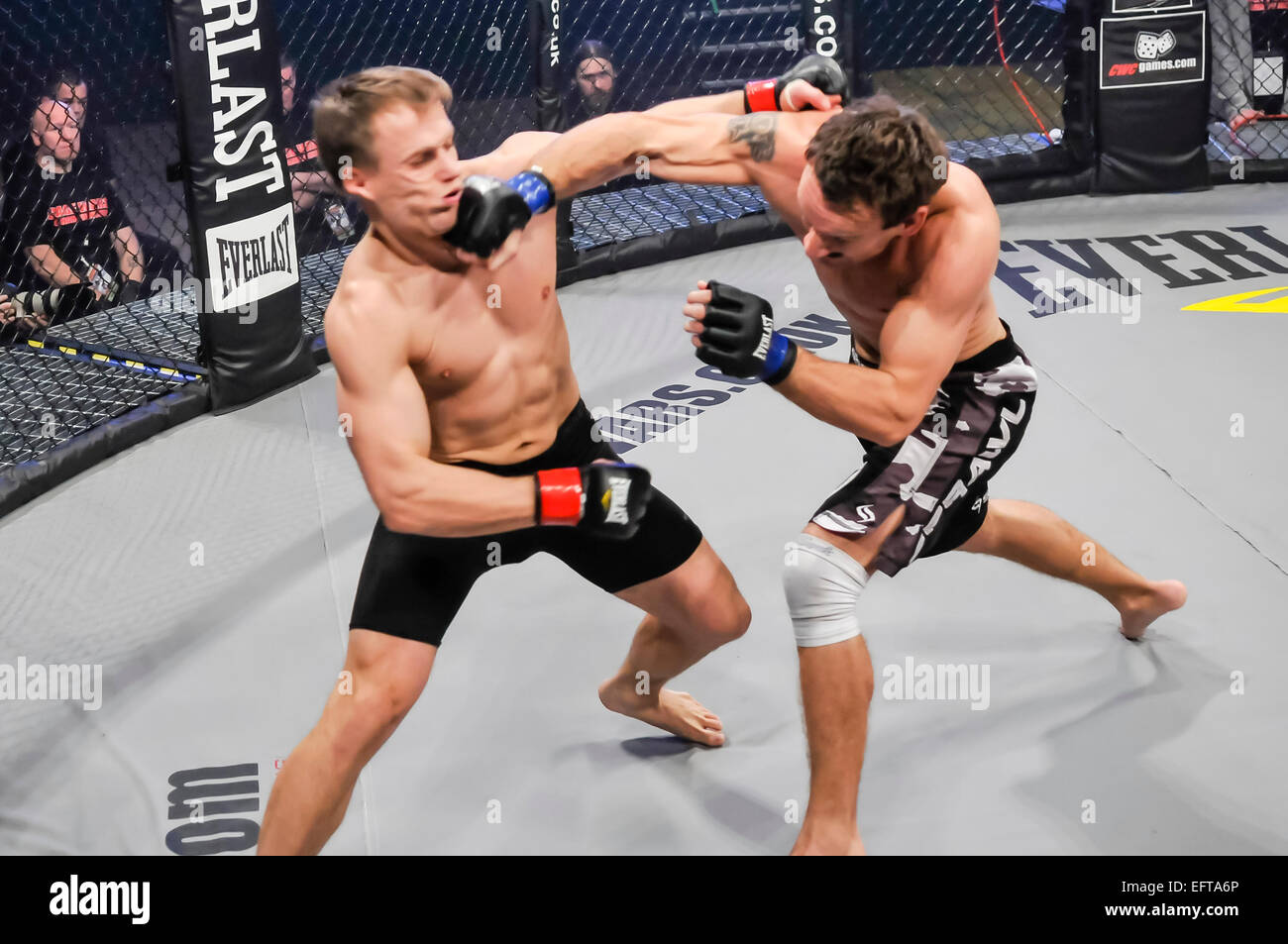 MMA cage fighter is punched in the face Stock Photo - Alamy