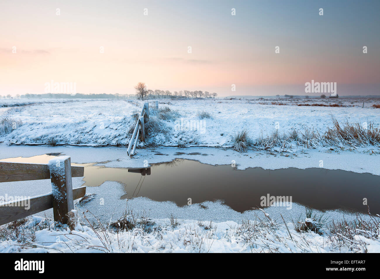 White Dutch winter landscape at sunrise with snow and a colorful sky ...