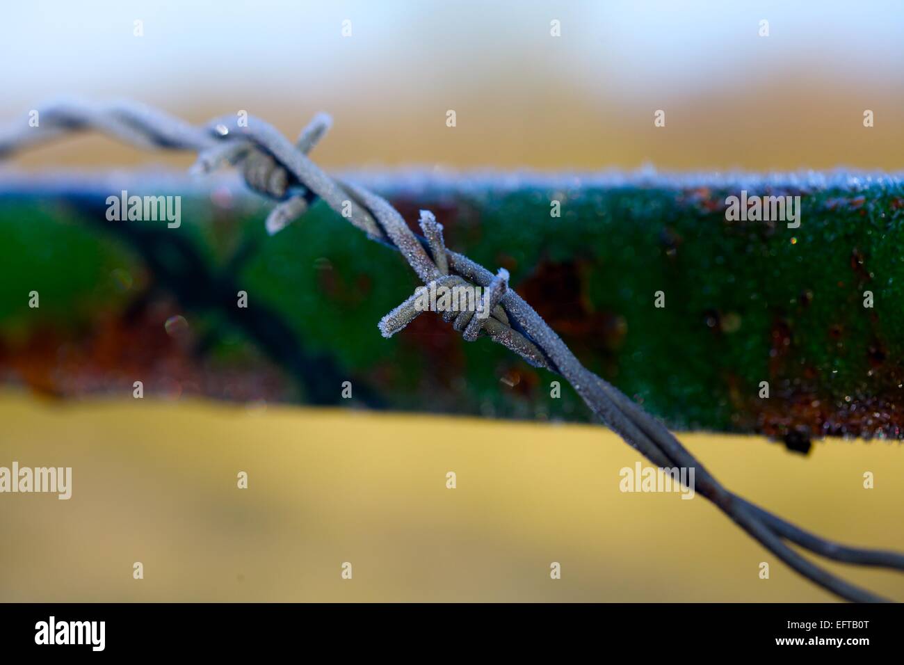barbed wire in countryside Stock Photo - Alamy