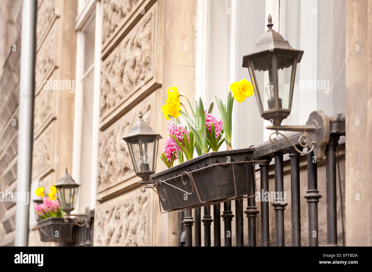 Spring flowers in window Stock Photo - Alamy