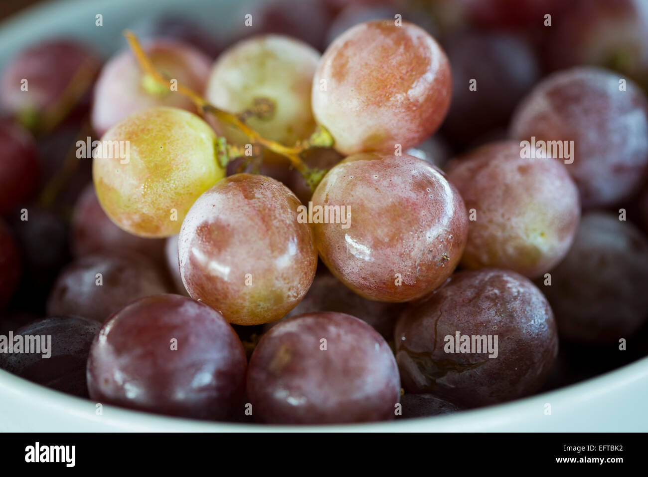 Grapes up close hi-res stock photography and images - Alamy