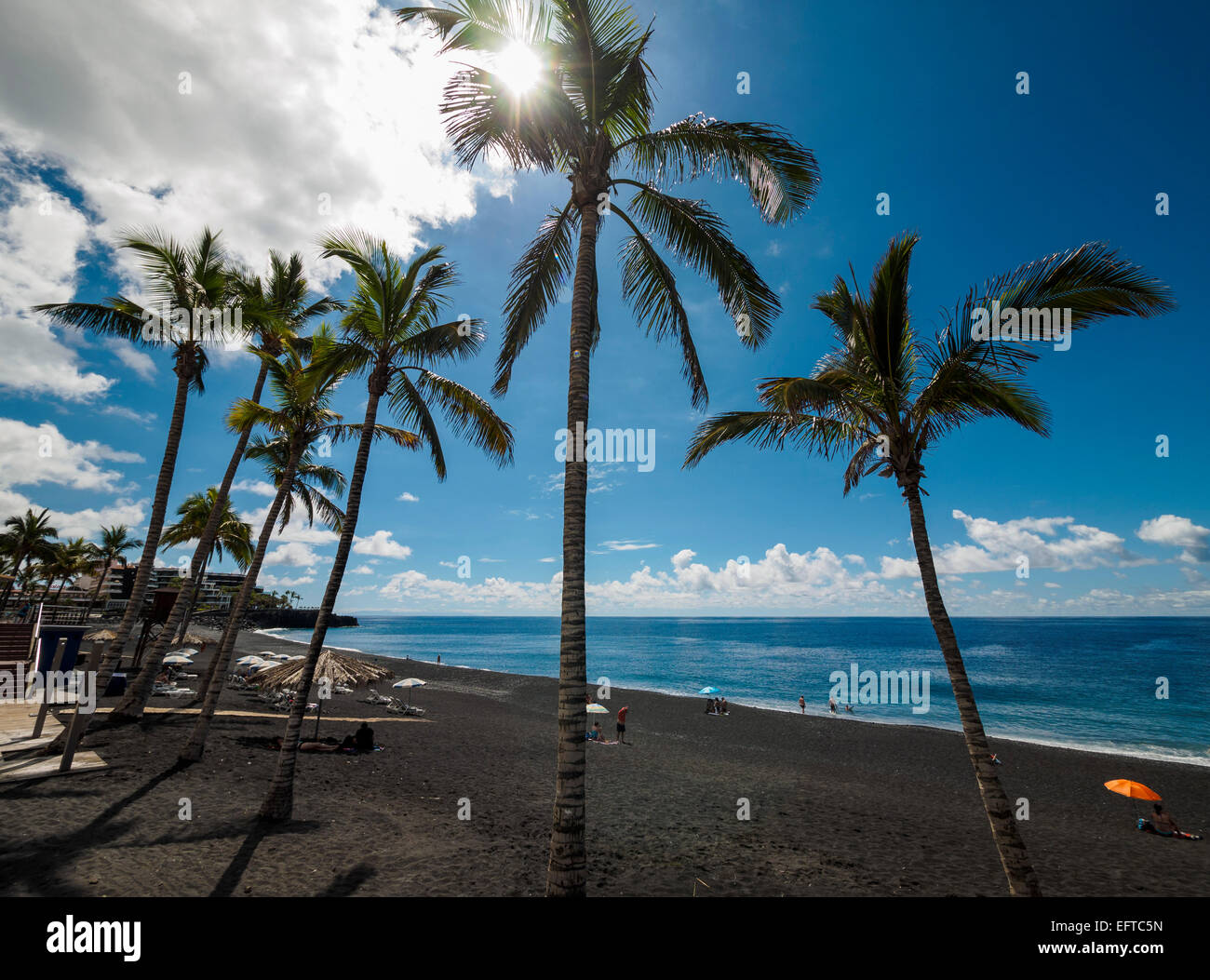 Atlantic ocean water palm tree trees hi-res stock photography and ...