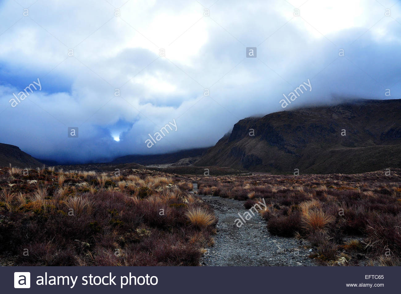 Scrubland Stock Photos & Scrubland Stock Images - Alamy