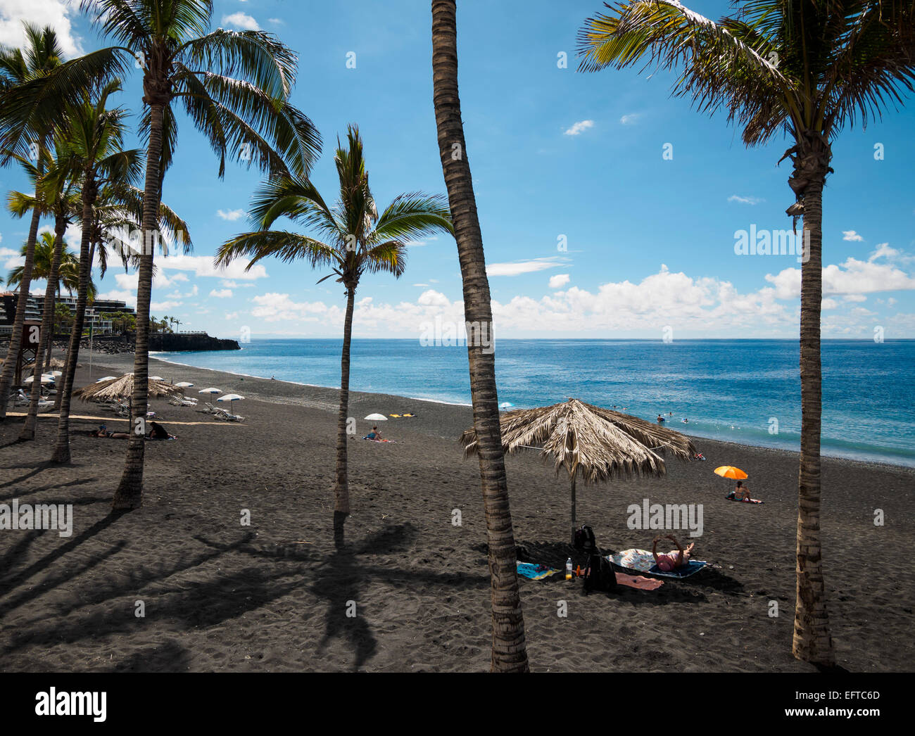 Europe beach with palm trees on the black sea hi-res stock photography ...