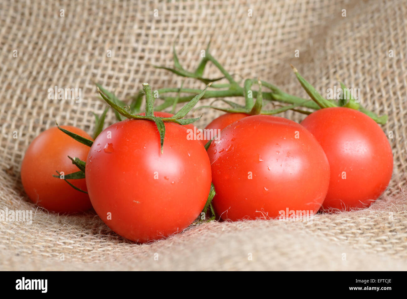 Tomato stock image hi-res stock photography and images - Alamy