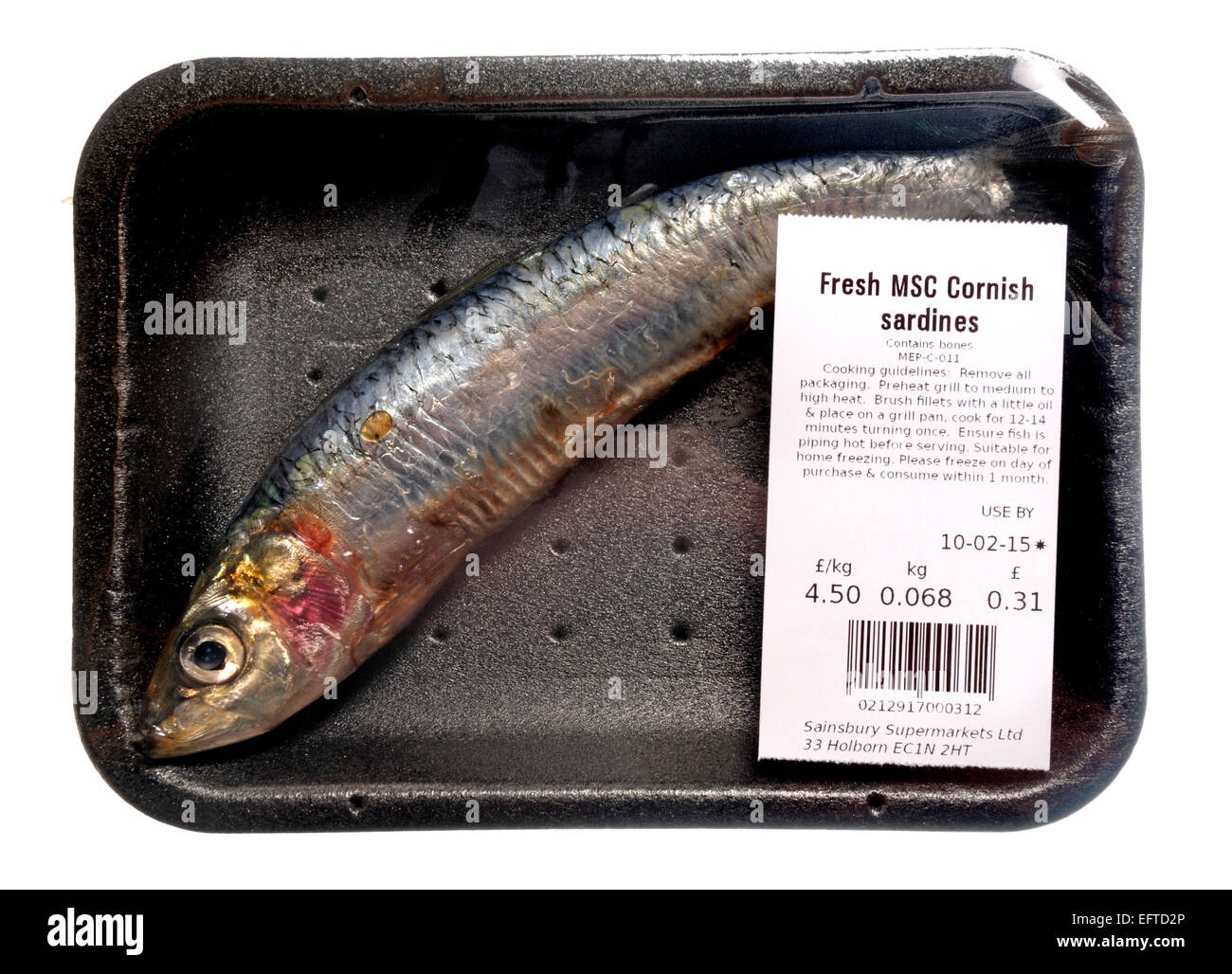 Sardine Front View